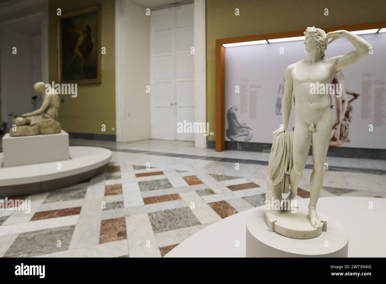 The statue of "Apollo"" by the sculptor Canova, inside the exhibition ...
