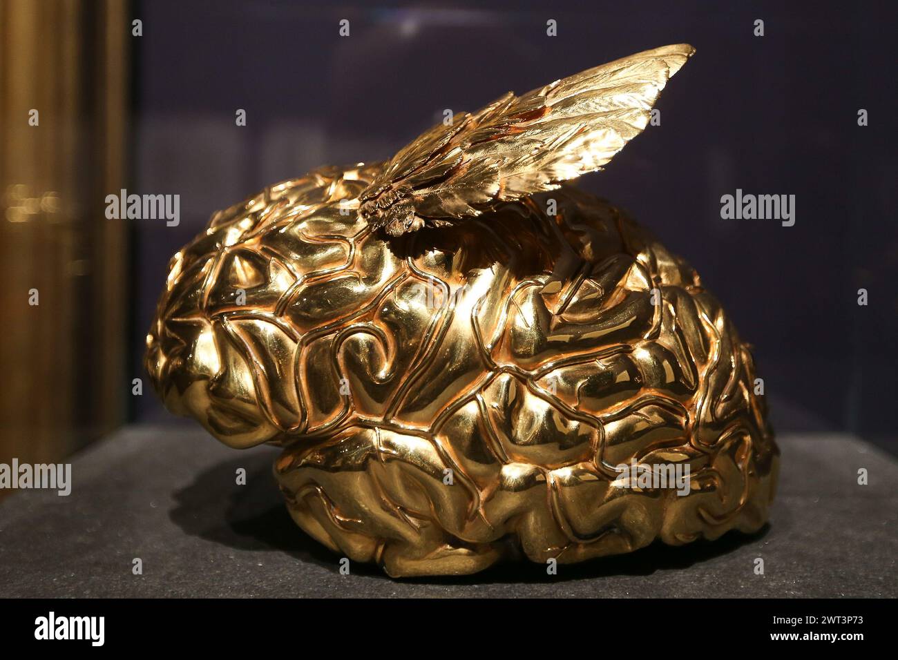 A gold human brain, by the artist Jan Fabre, in the "Red Gold ...