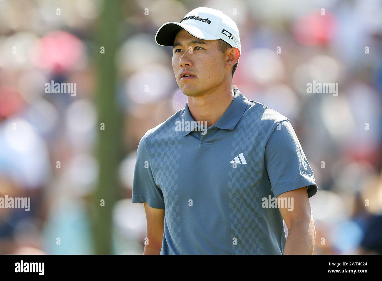 Ponte Vedra, FL, USA. 15th Mar, 2024. Collin Morikawa on the 17th hole ...