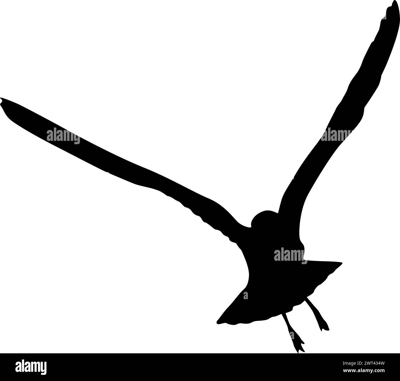 Silhouette on a white background of a sea gull Stock Vector Image & Art ...