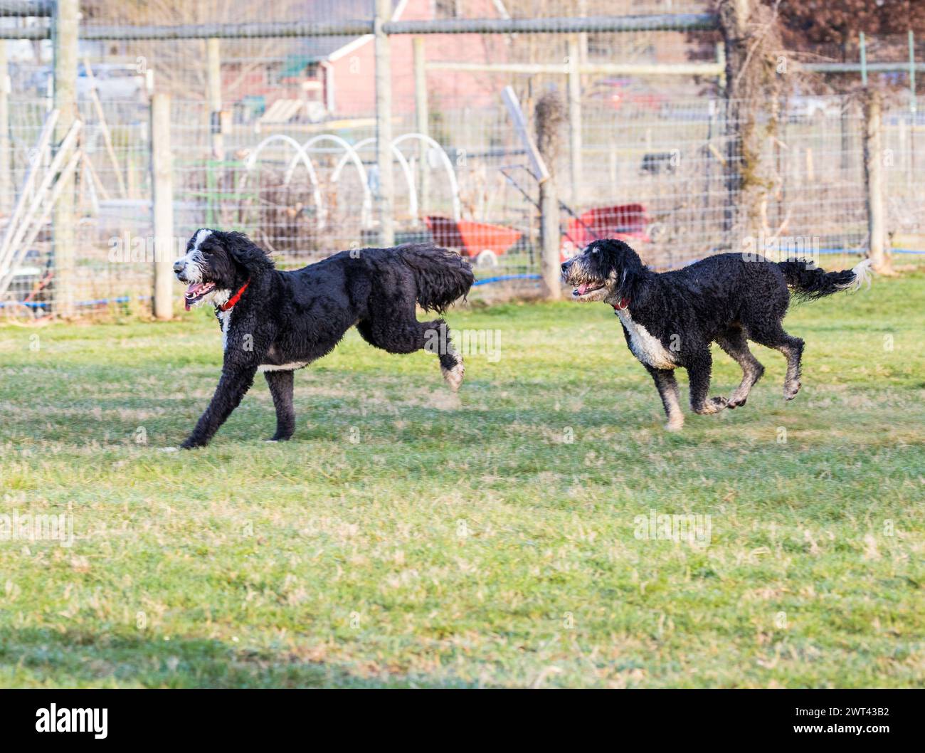 On sunny day two joyful hi-res stock photography and images - Alamy