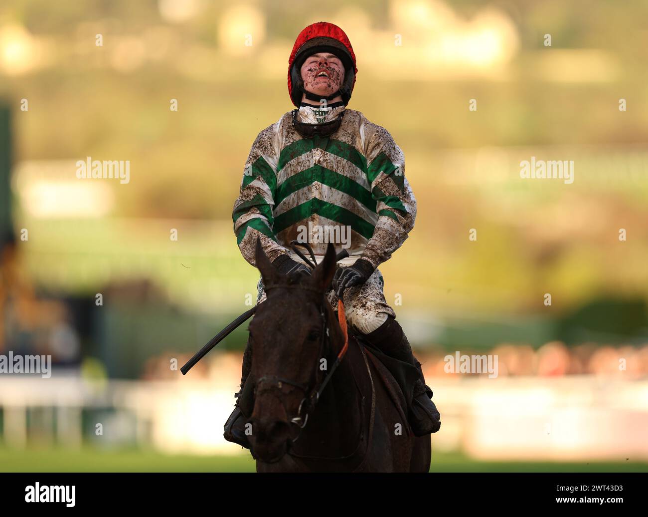 Danny Gilligan aboard Better Days Ahead after winning the Martin Pipe ...