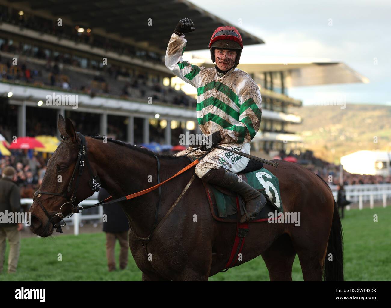 Better days ahead horse hi-res stock photography and images - Alamy