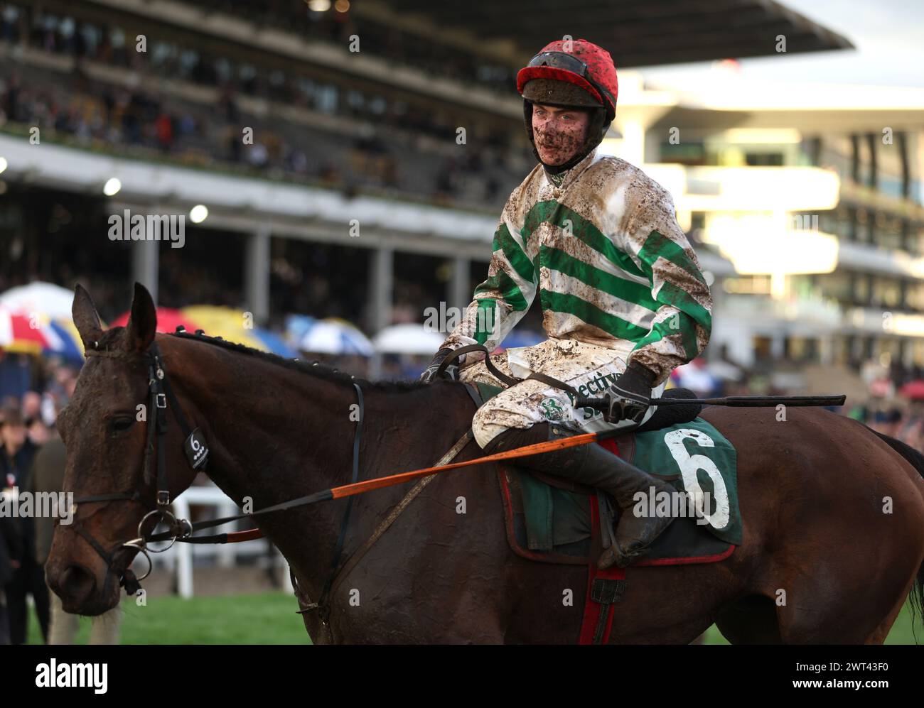 Danny Gilligan aboard Better Days Ahead after winning the Martin Pipe ...