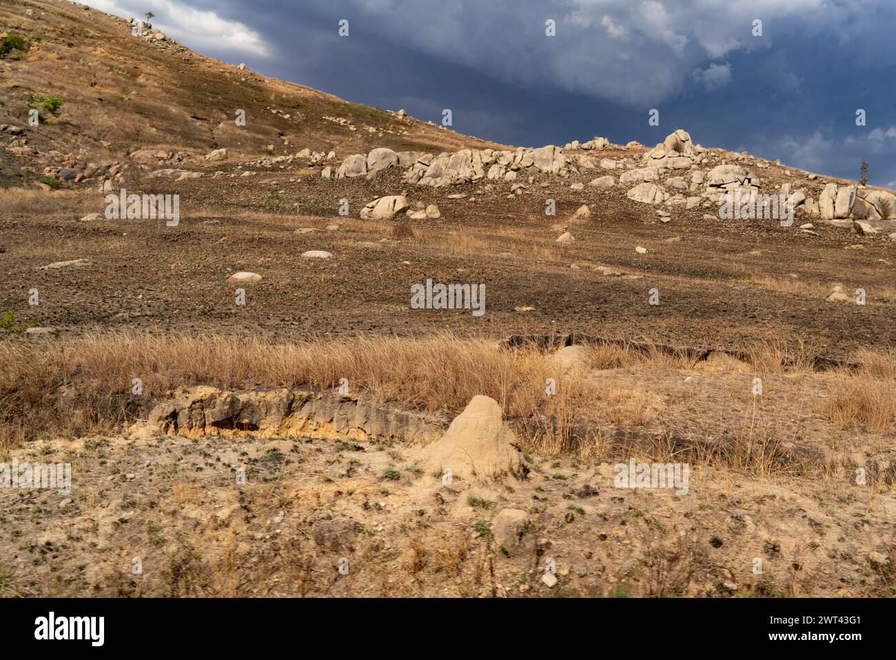 Landscape, Zazafotsy ,Ihosy, Ihorombe, Madagascar Stock Photo - Alamy