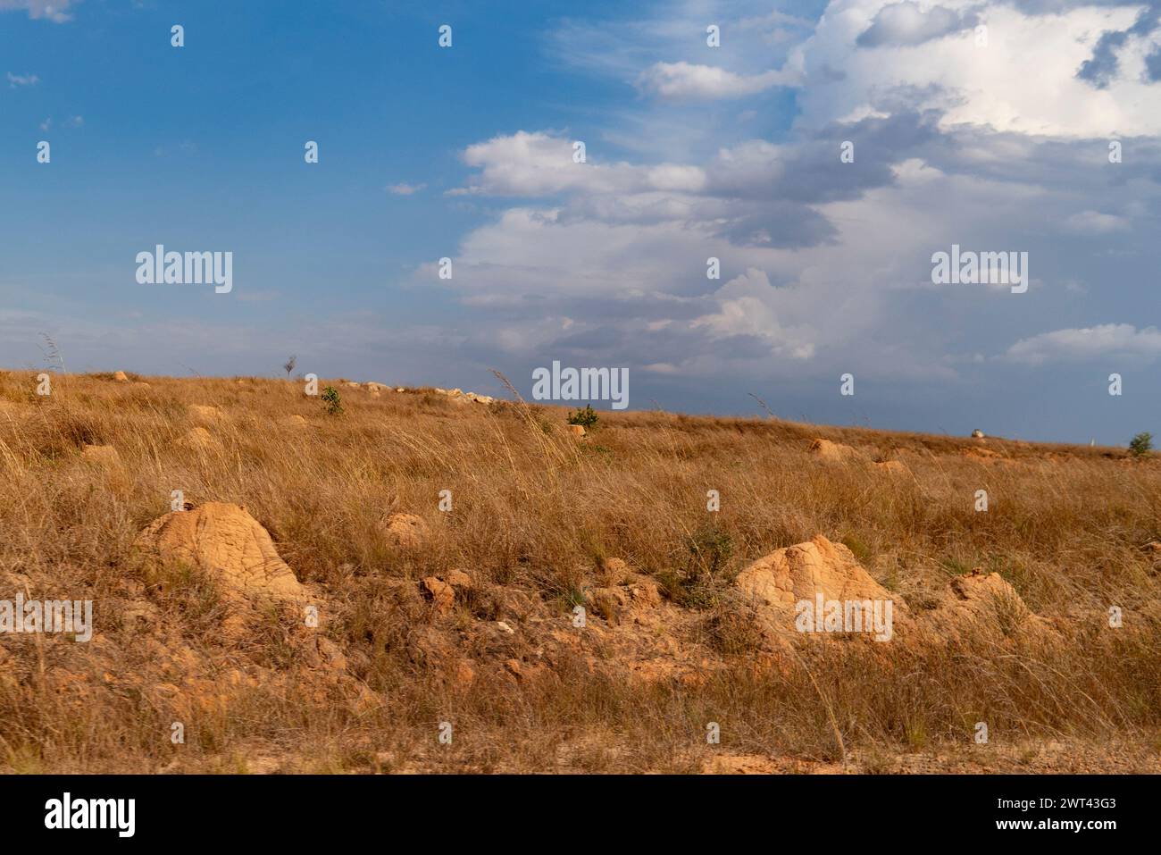 Ihorombe hi-res stock photography and images - Alamy