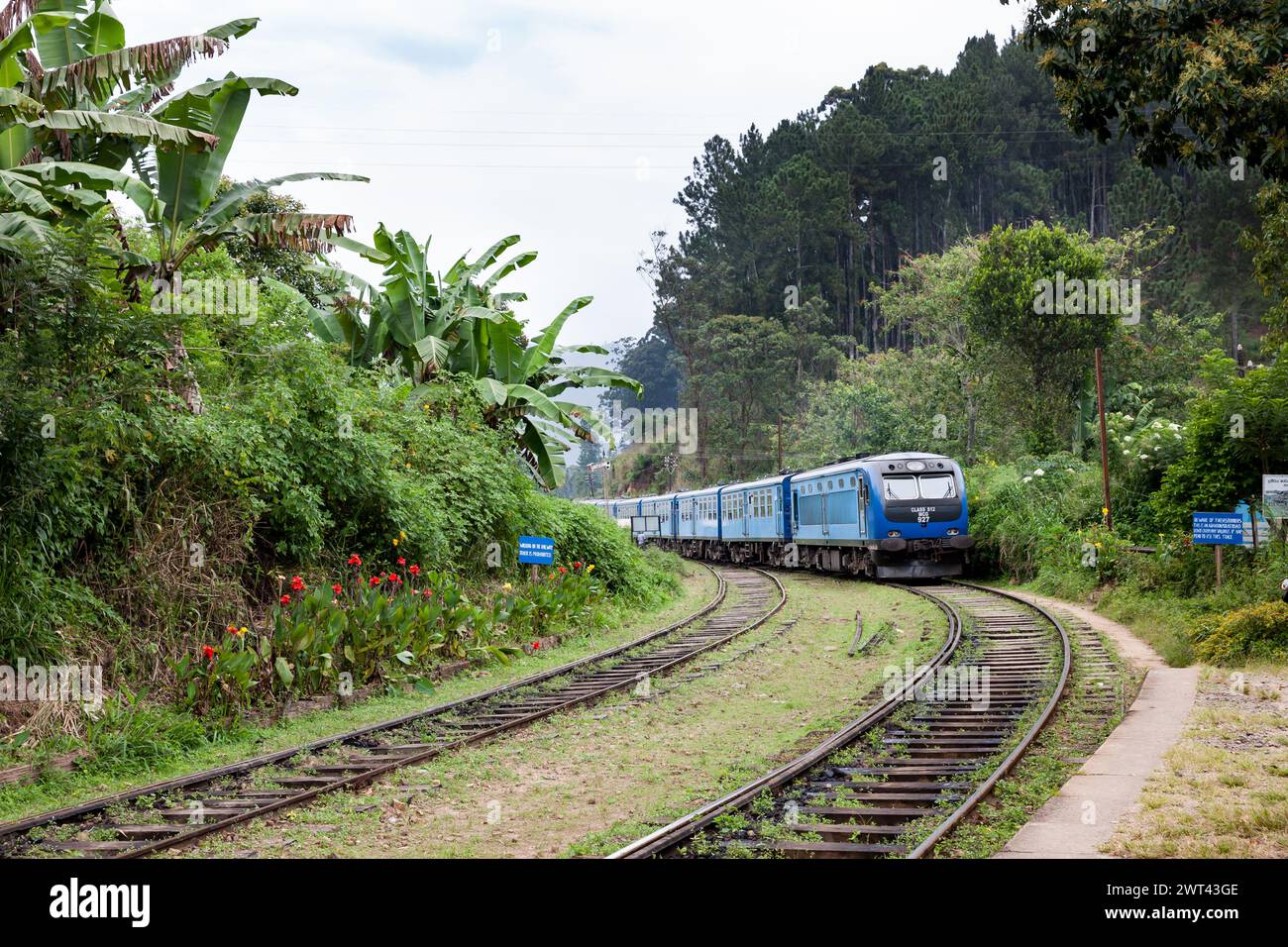 Sri Lanka, The railway experience from Ella to Haputale Stock Photo - Alamy