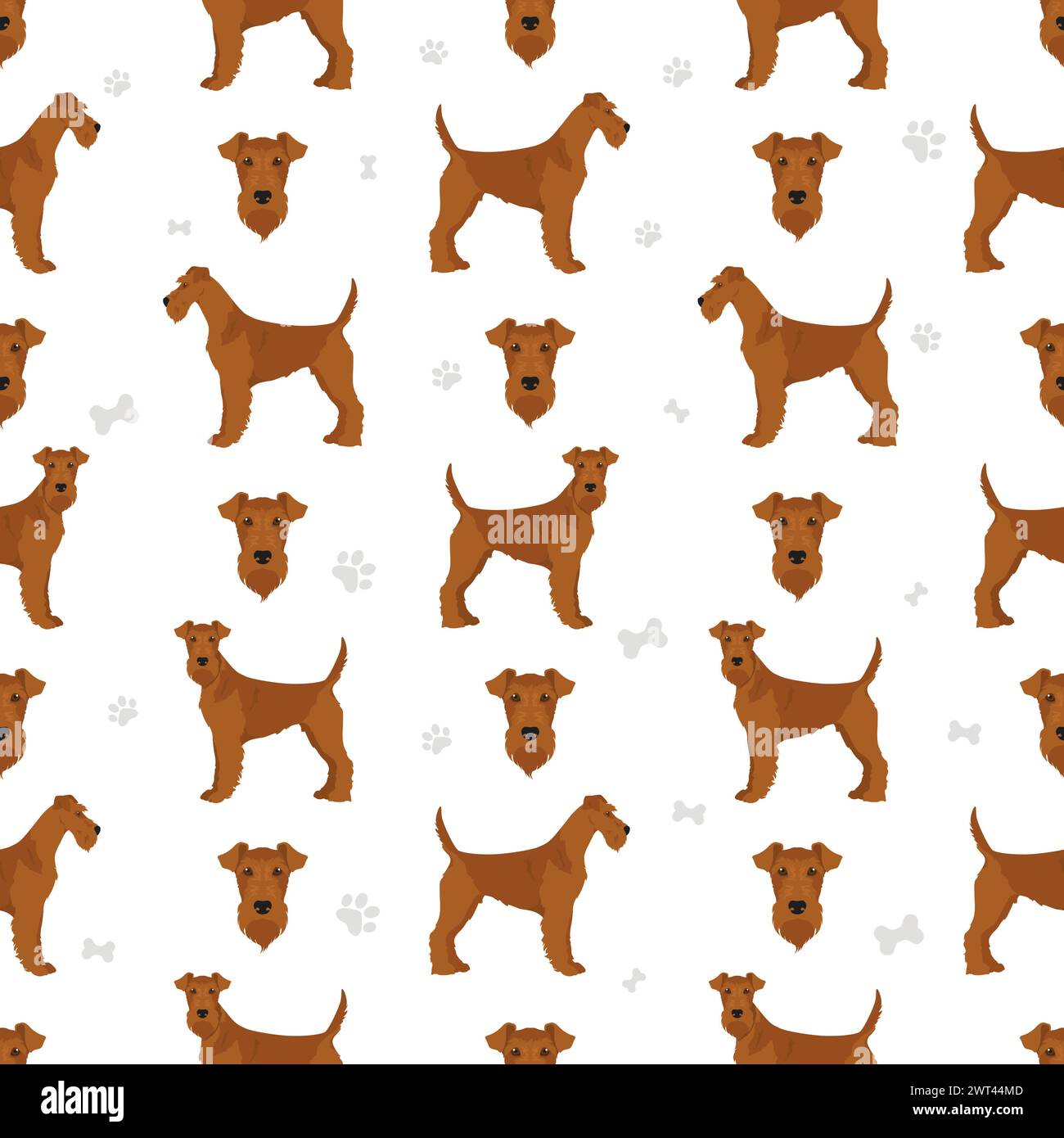 Irish terrier seamless pattern. Different poses, coat colors set ...