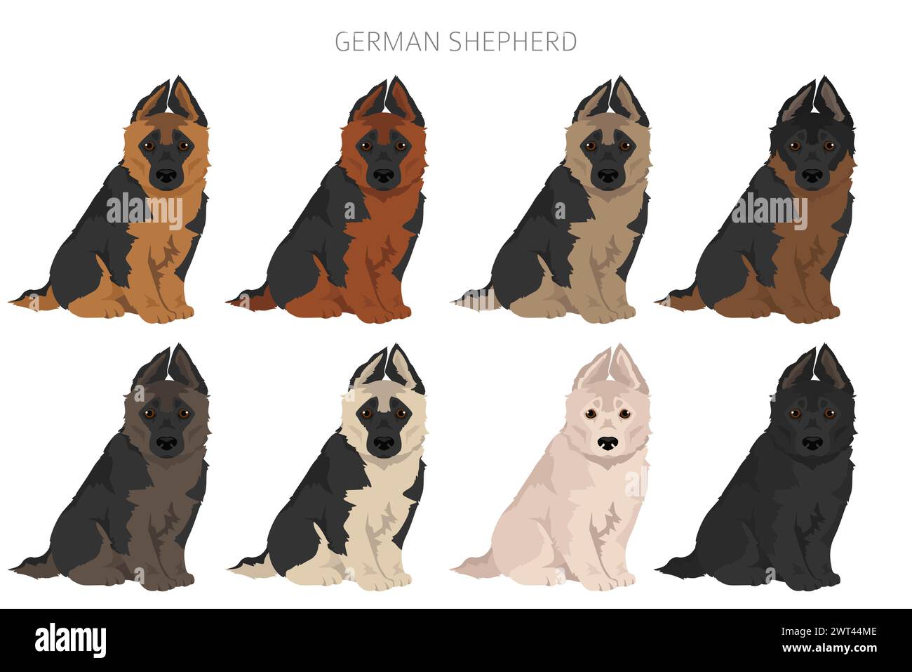 German shepherd puppy in different coat colors clipart. Vector ...