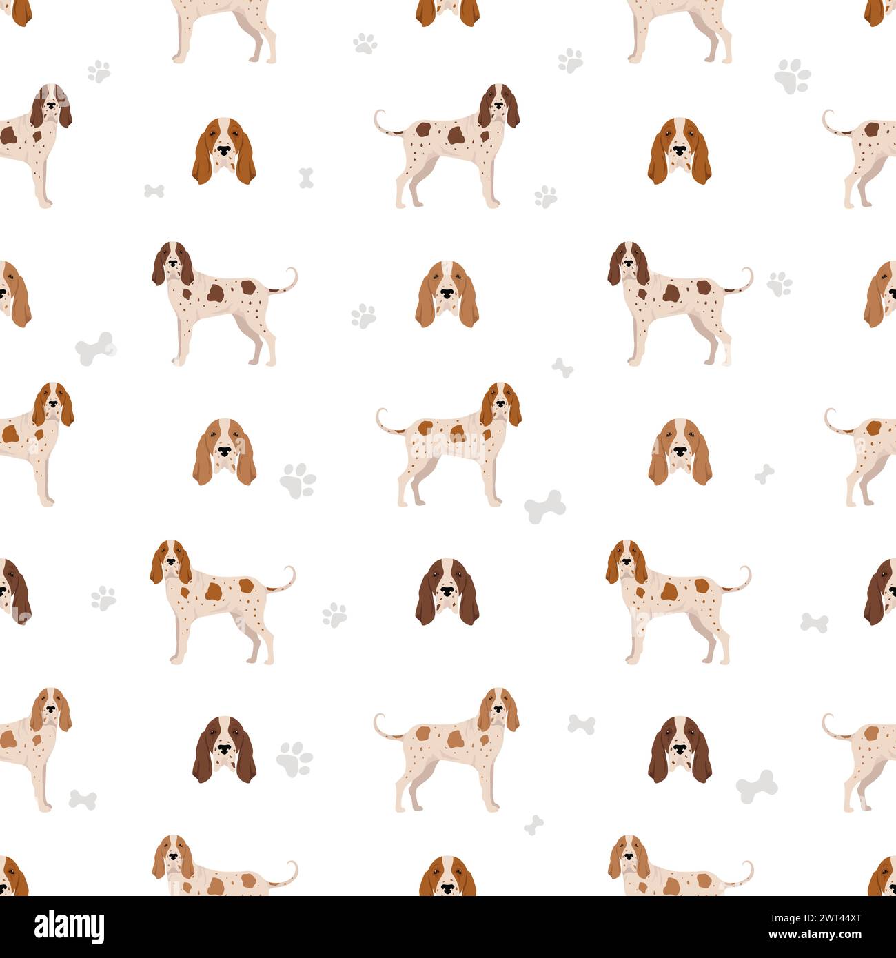 Italian pointer seamless pattern. Different poses, coat colors set ...