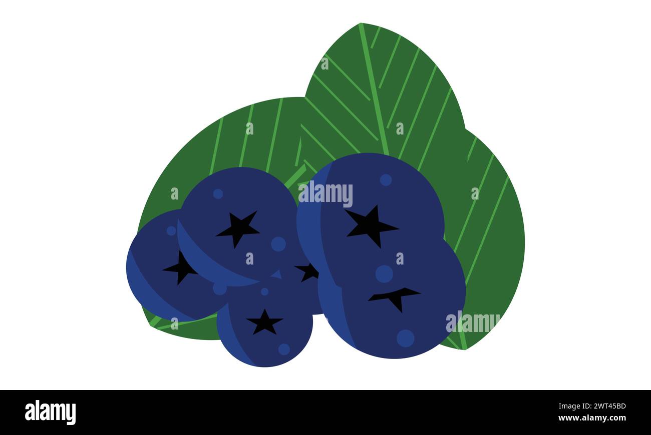 Vector blueberry hi-res stock photography and images - Alamy
