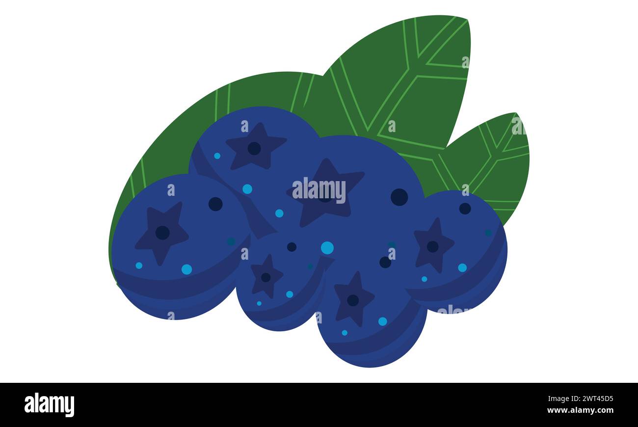Blueberry Vector Design And Illustration Stock Vector Image & Art - Alamy