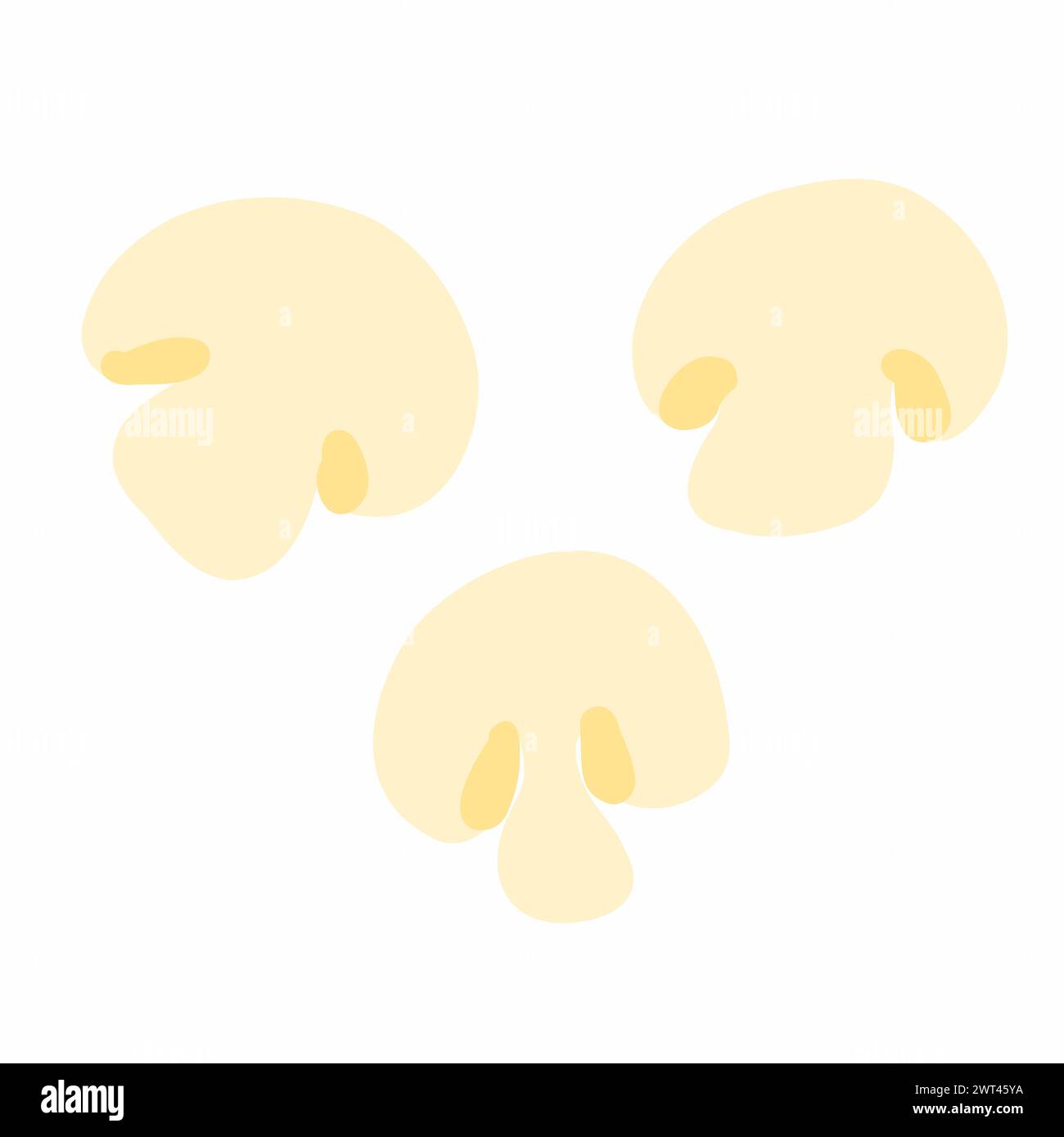 Fresh cut champignons mushrooms. Vector illustration in hand drawn ...