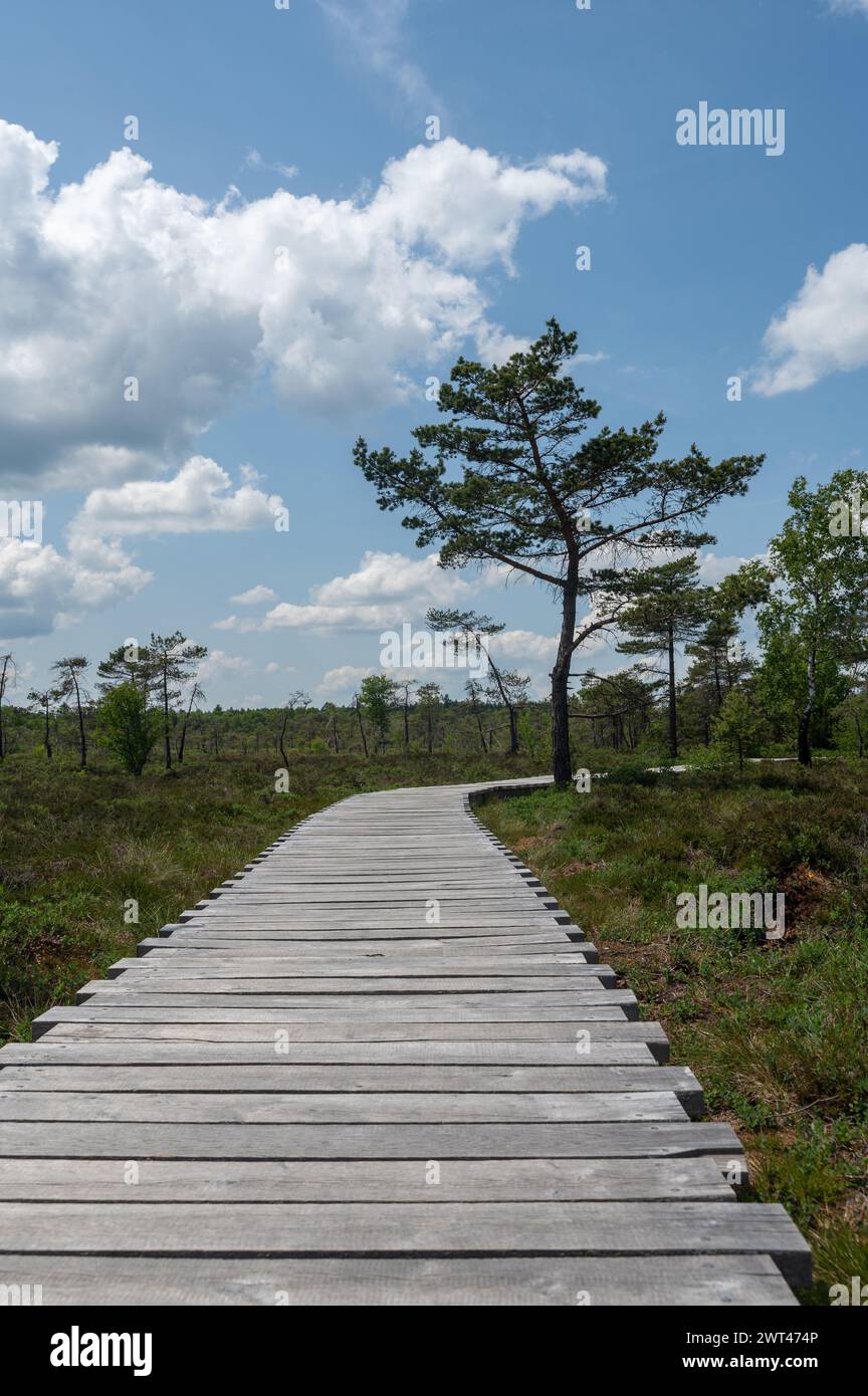 Black moor in the Rhoen, Bavaria, Germany, with a new moor path Stock ...