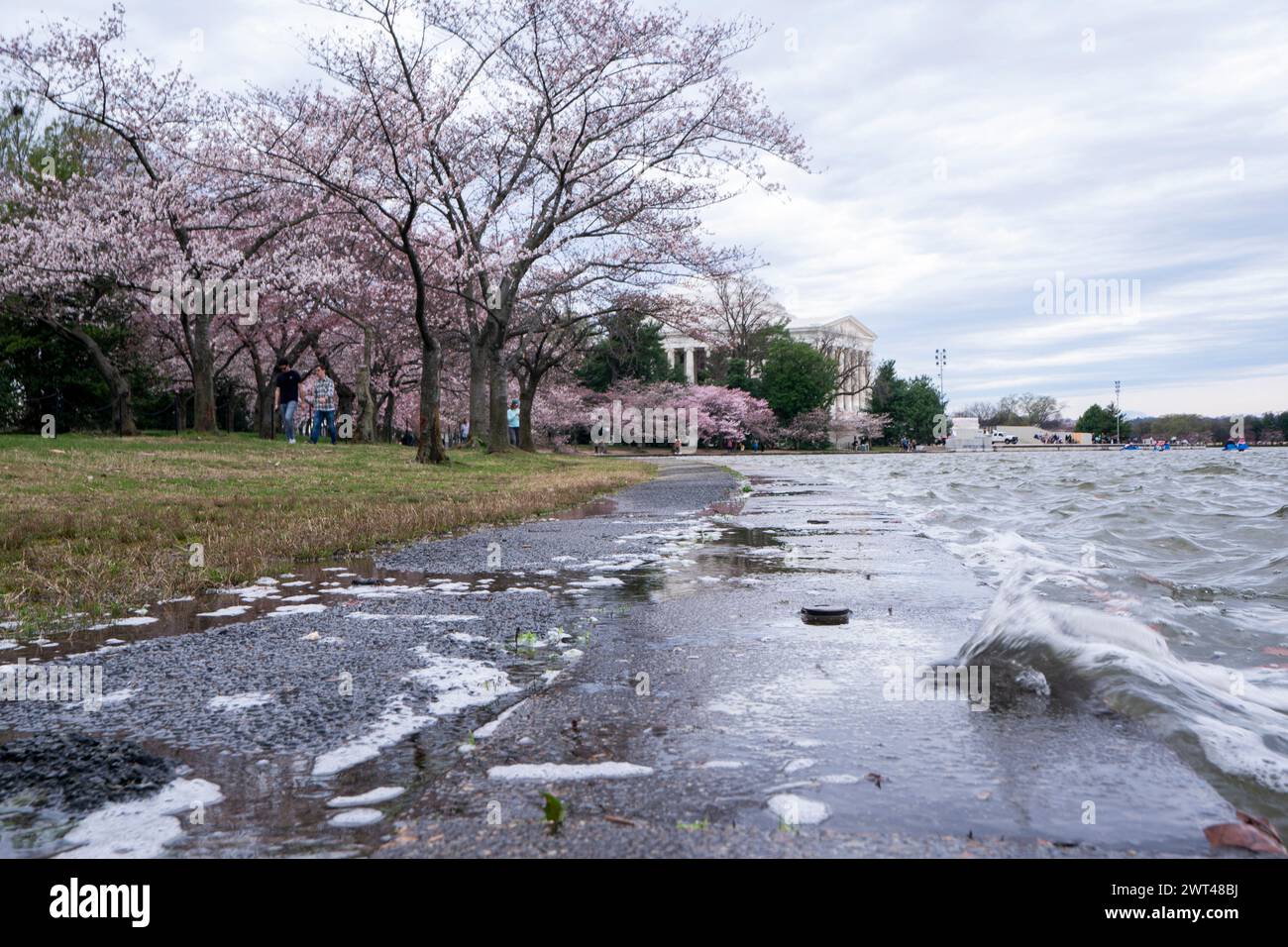 Water laps over the sea wall at the Tidal Basin in Washington, DC, USA ...