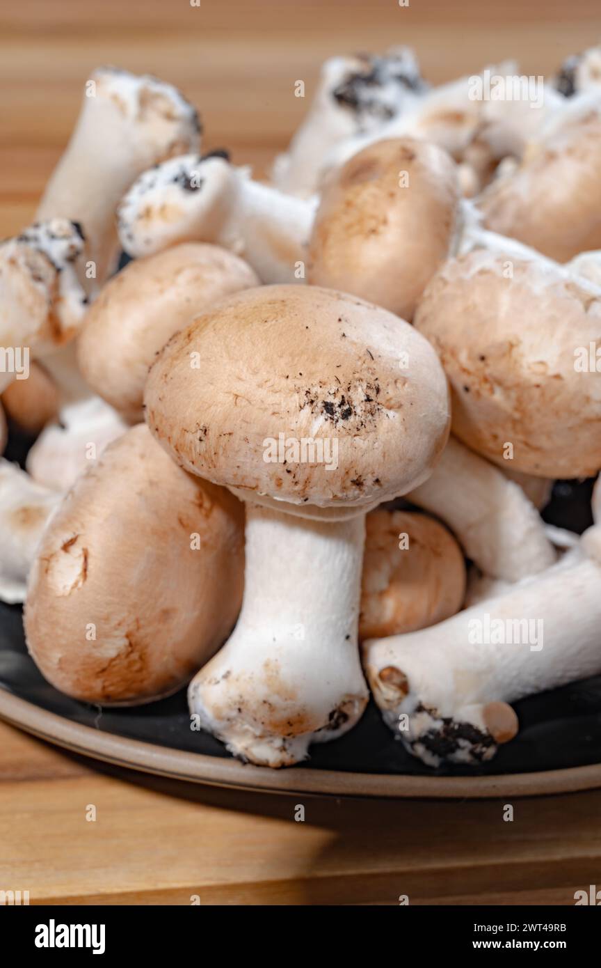 Organic Brown champignons mushrooms from underground caves in Kanne ...