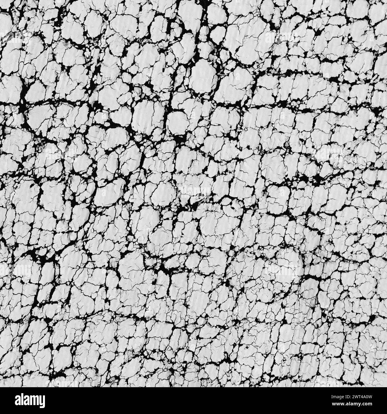 Silkscreen printing hi-res stock photography and images - Alamy