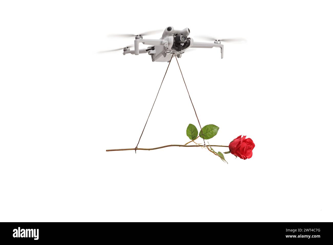 Aerial drone flying and delivering a red rose isolated on white ...