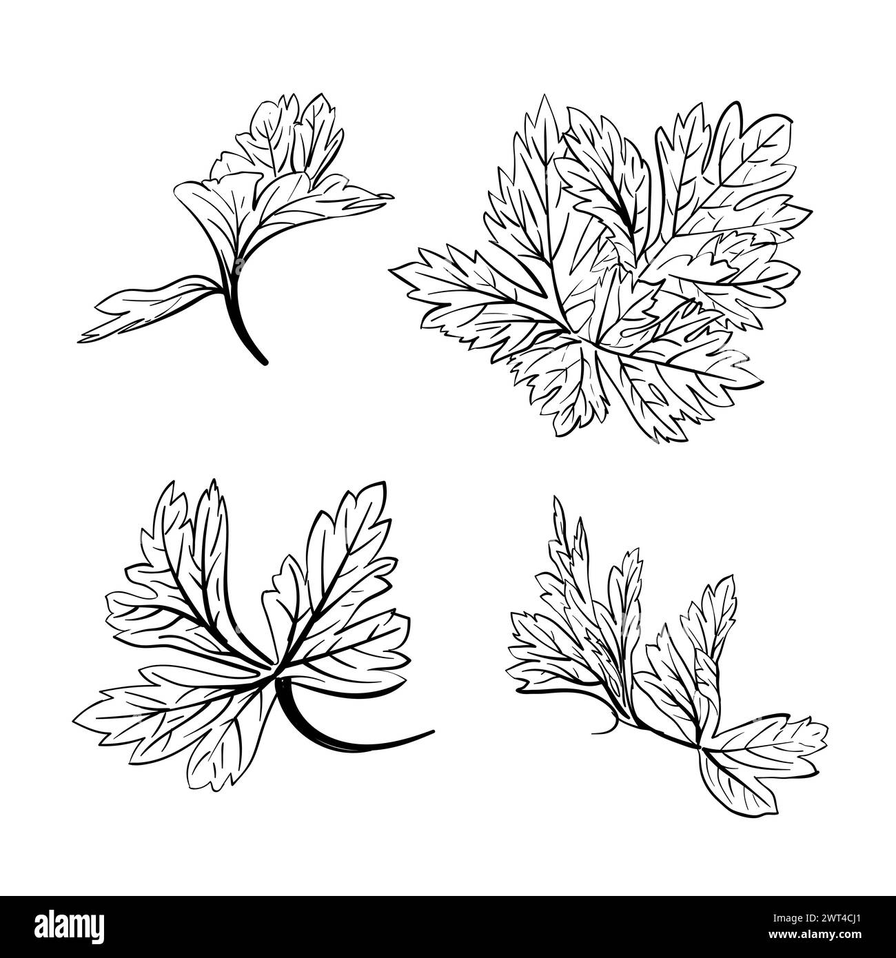 Menu magazine Black and White Stock Photos & Images - Alamy