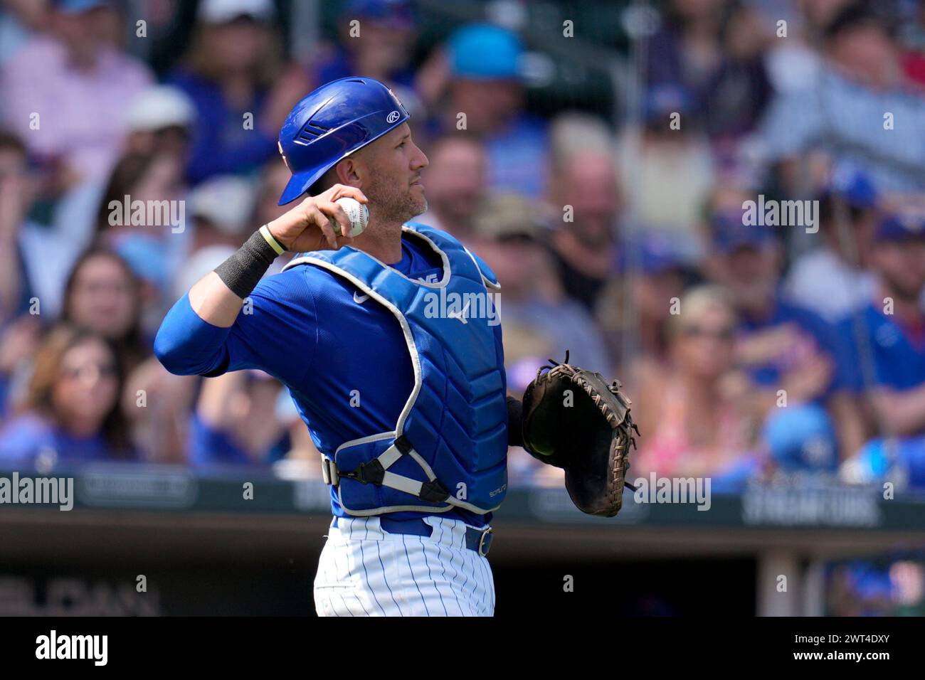 Chicago Cubs catcher Yan Gomes throws the ball back to the pitcher ...