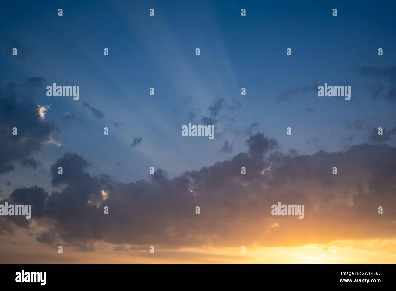 Sun rays passing through a cloud at sunset time, as the sky color turns ...