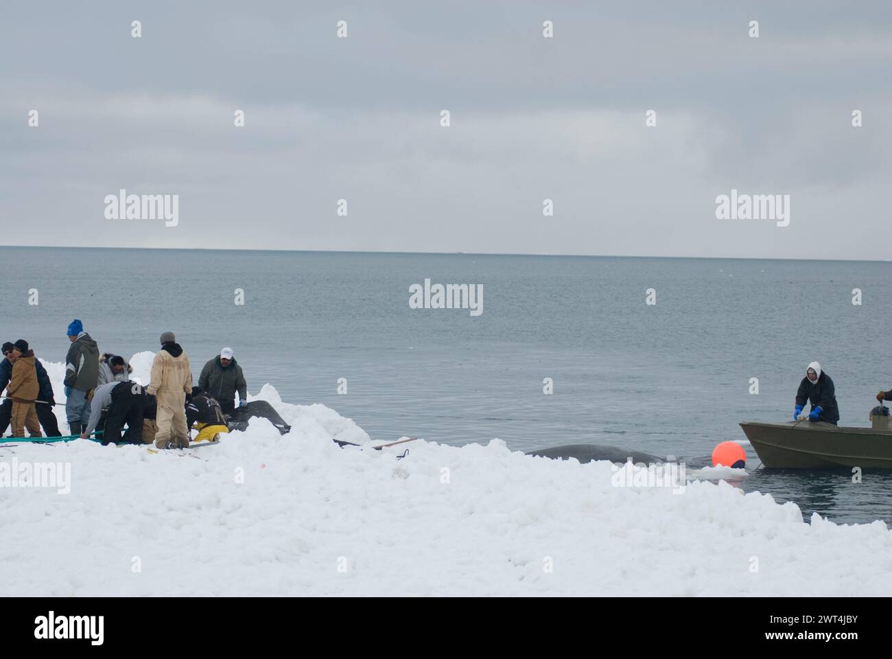 Inupiaq eskimo skin boat hi-res stock photography and images - Alamy
