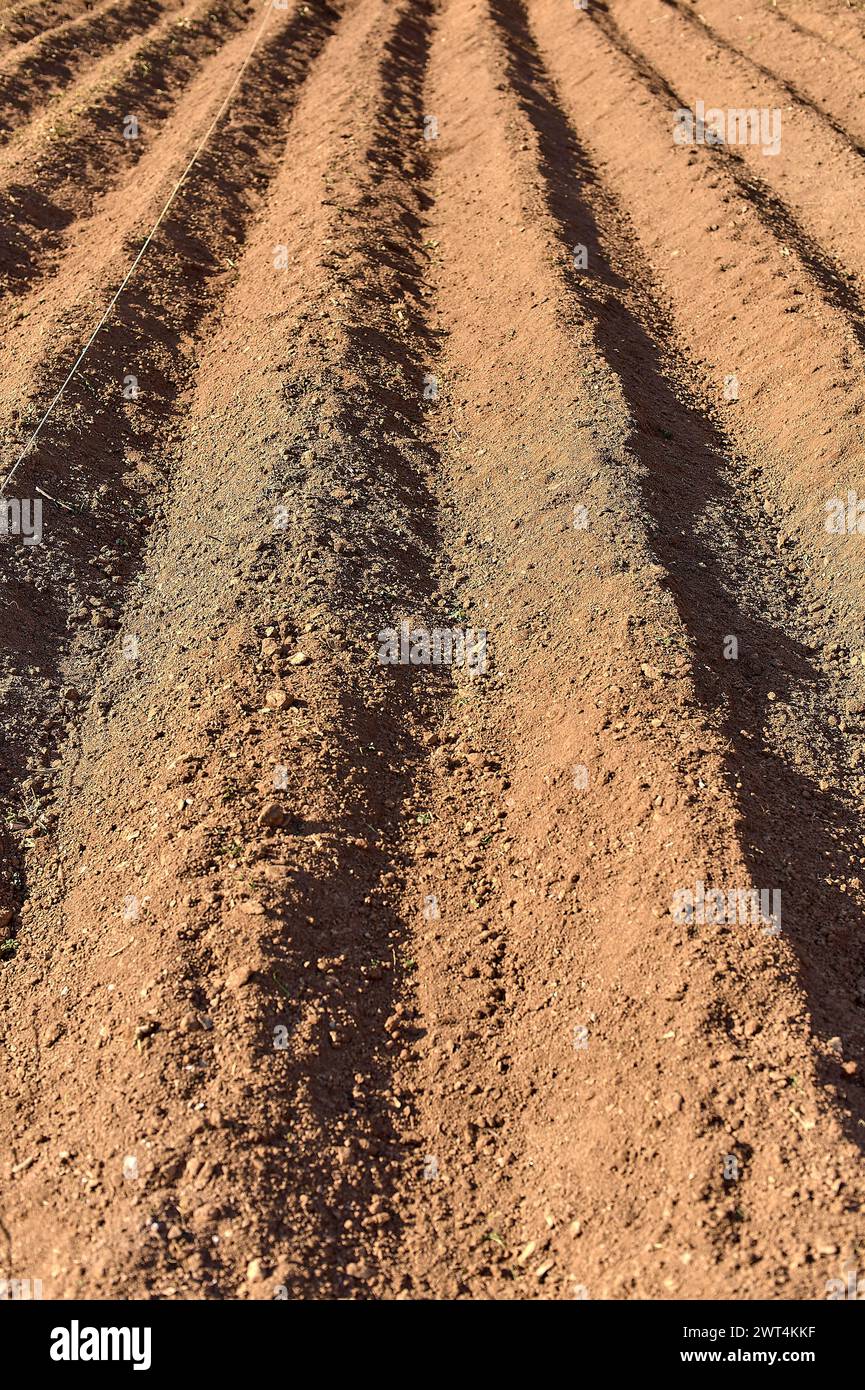 Silt soil garden hi-res stock photography and images - Alamy