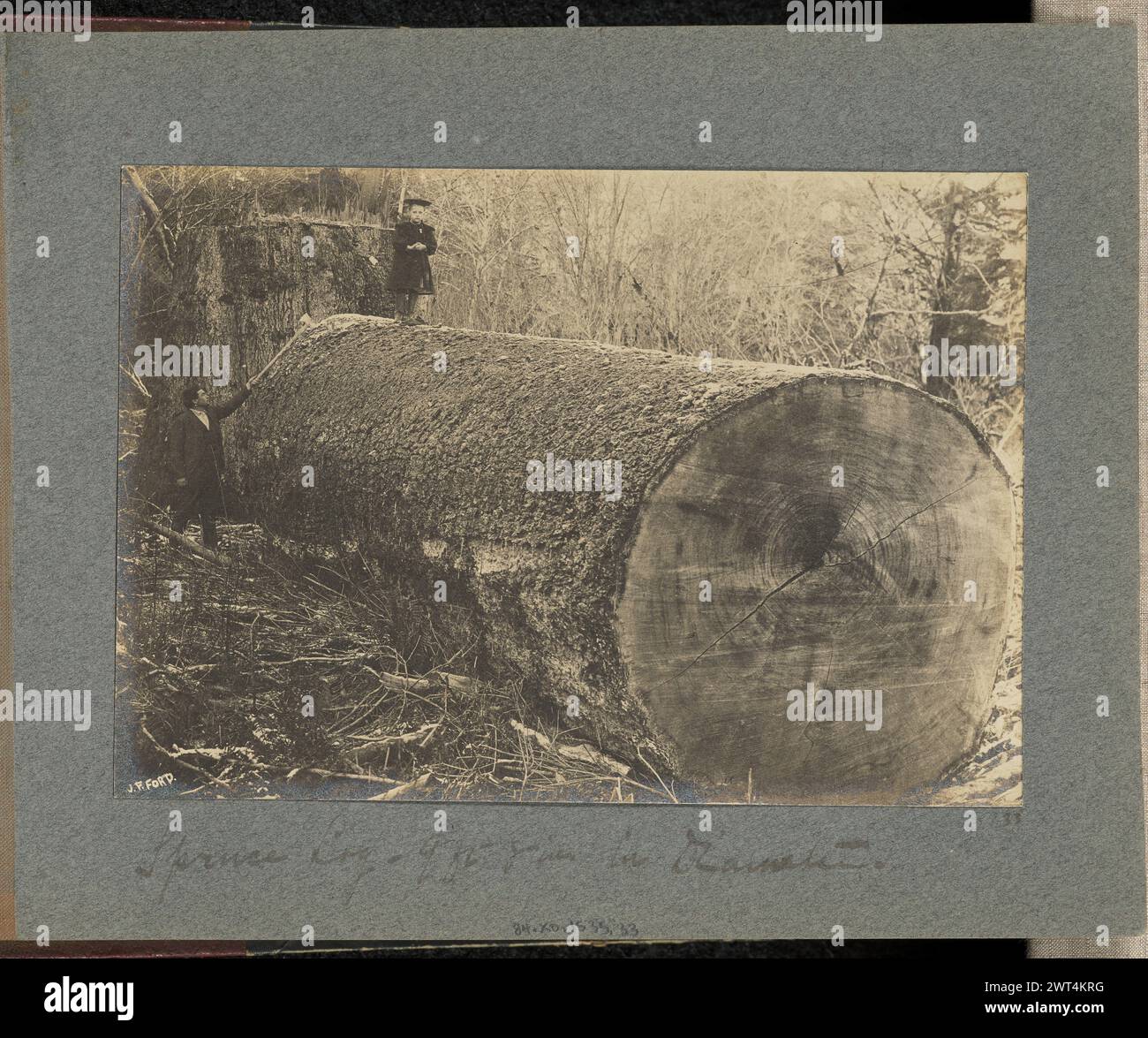 Wedged log hi-res stock photography and images - Alamy