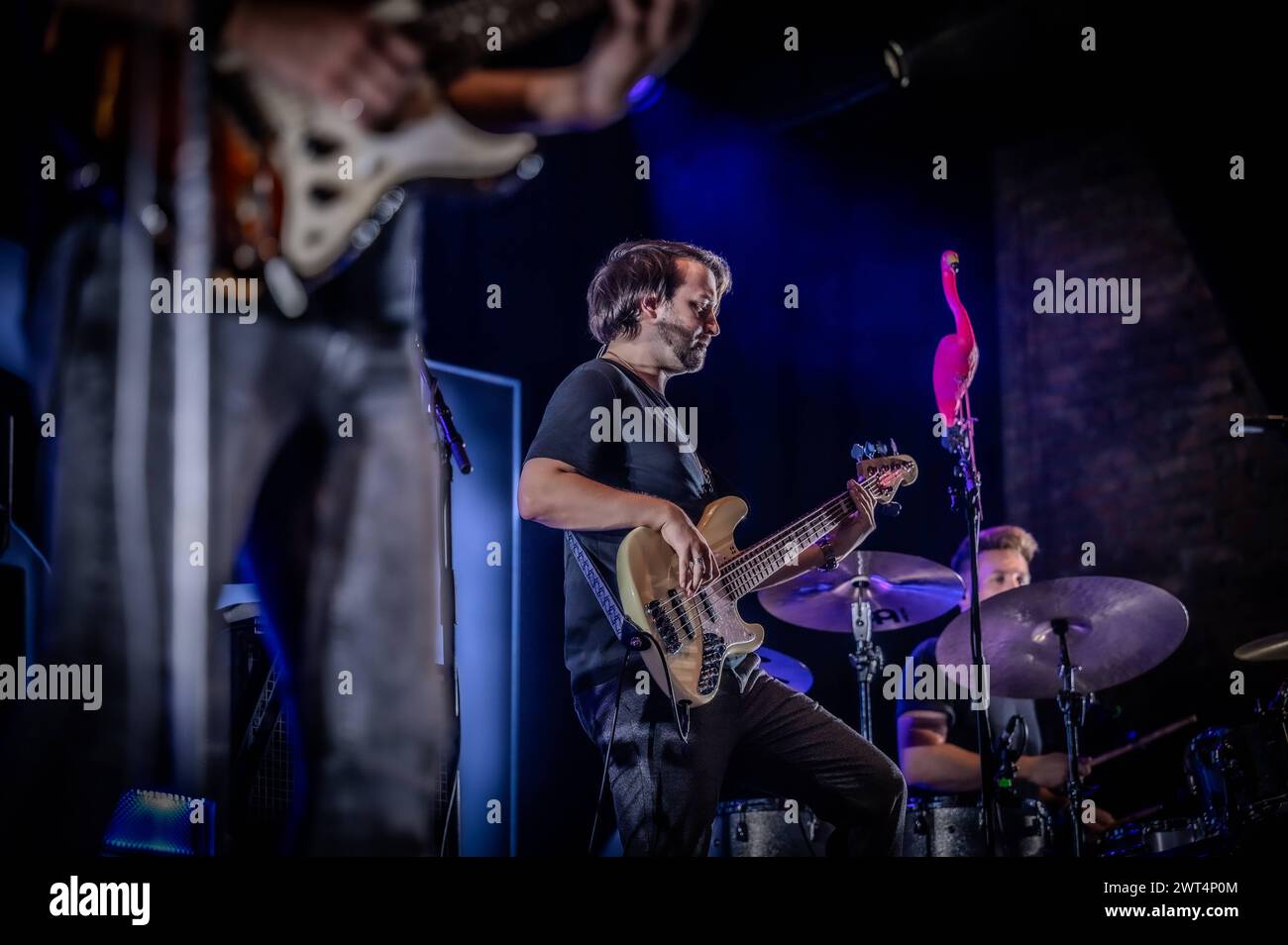 Josh. with Band live on stage Salzburg Szene Salzburg Austria Stock ...