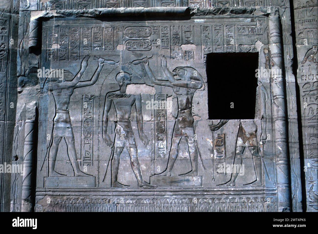 Relief of Horus and Thoth, depicted with a heads of a falcon and Ibis ...