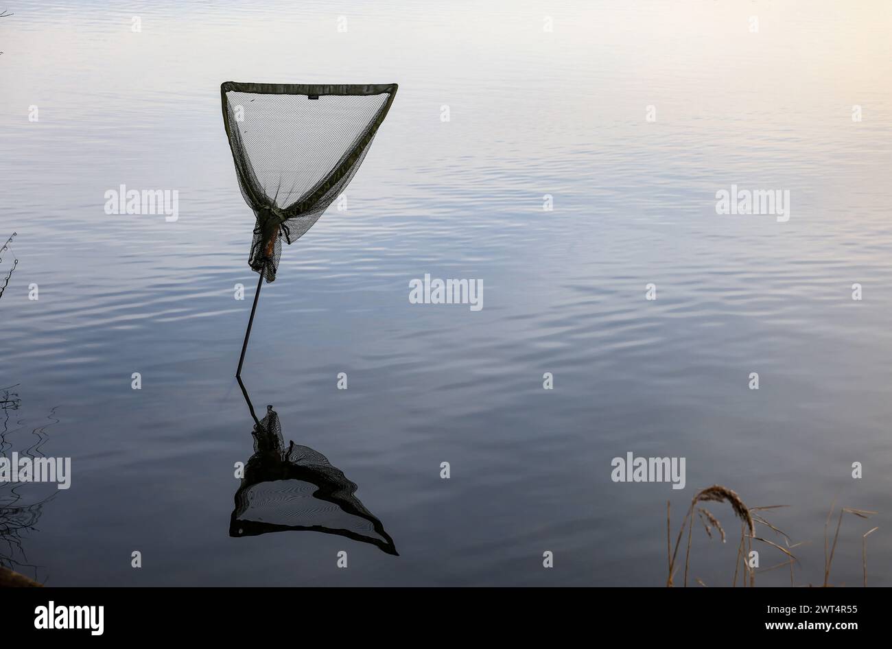 Hand fishing net and reflection Stock Photo - Alamy