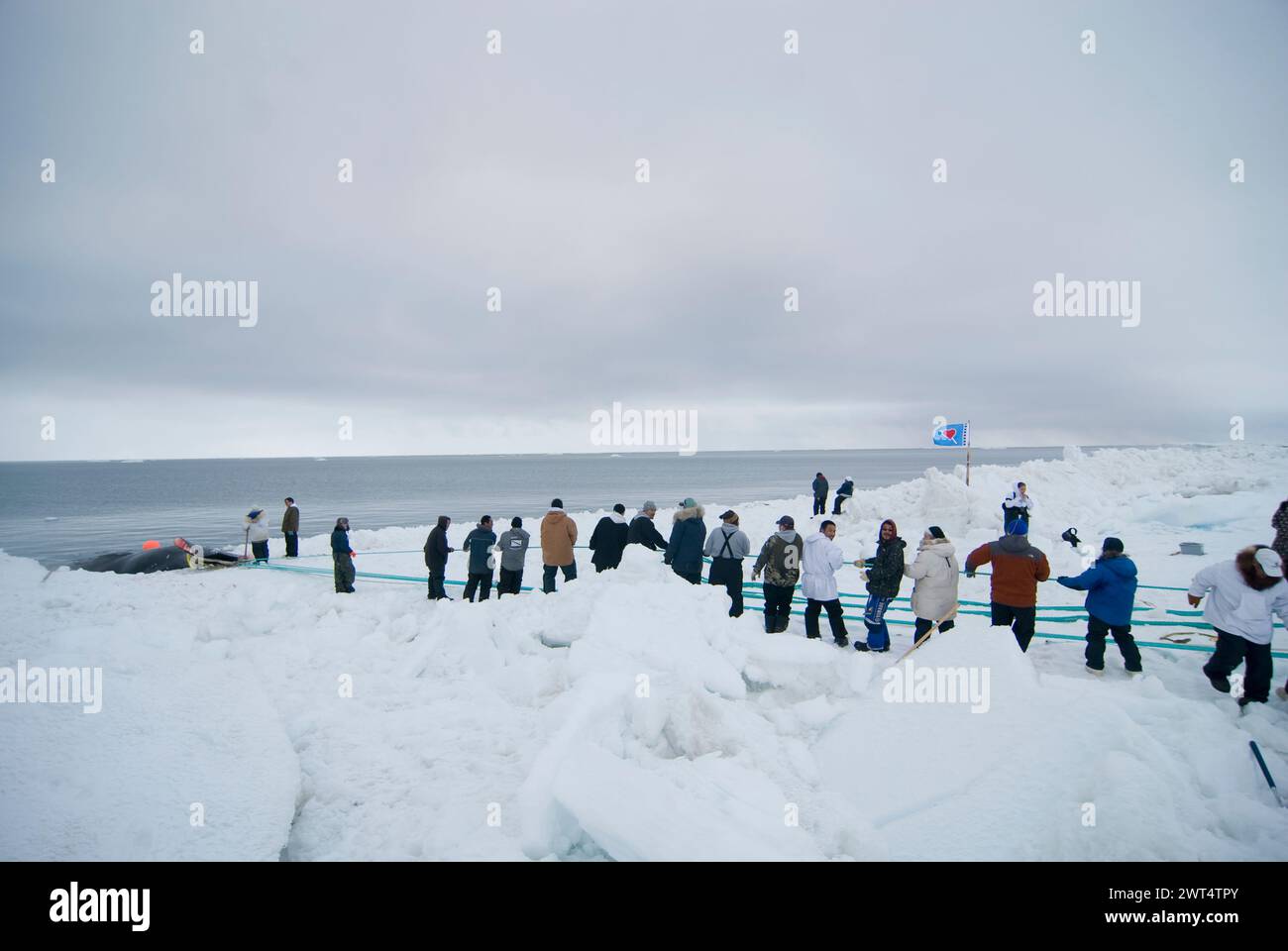 Inupiaq eskimo skin boat hi-res stock photography and images - Alamy