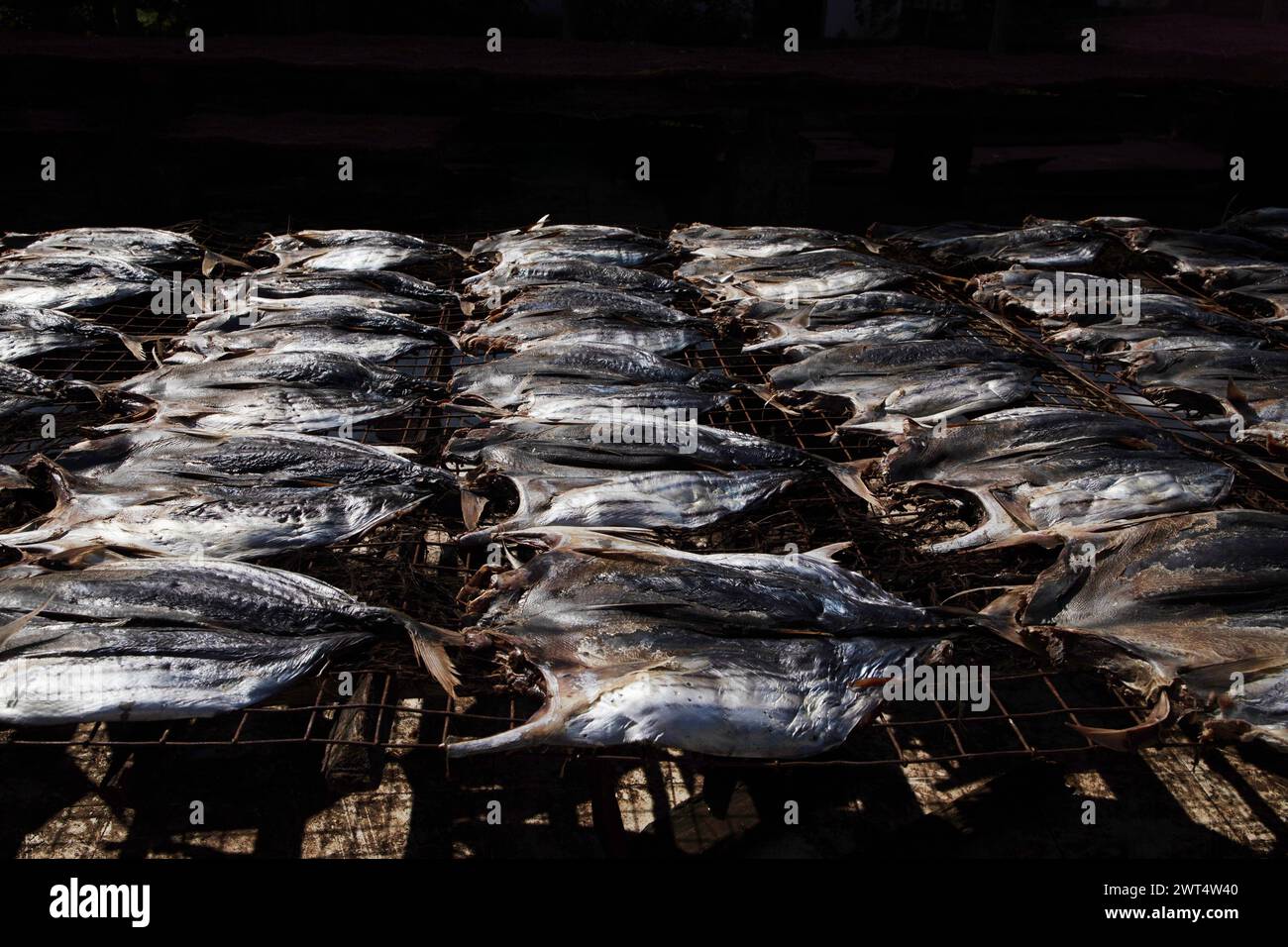 Sri lankan dried fish hi-res stock photography and images - Alamy