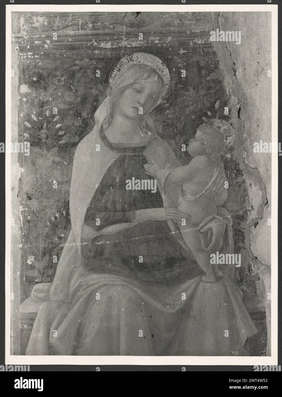 The archangel campaign hi-res stock photography and images - Alamy