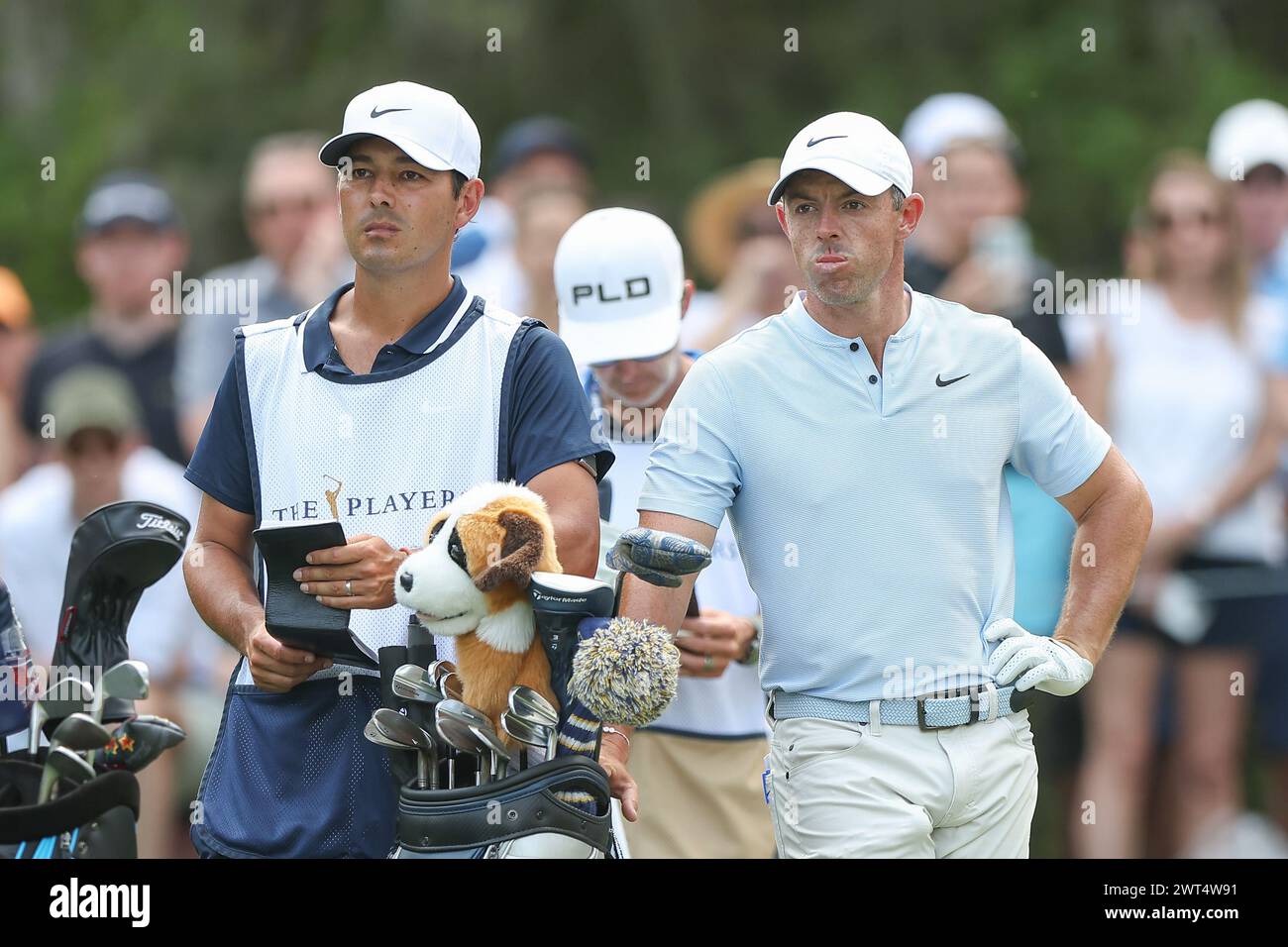 2024 03 15 r3a 2998 jpg hi-res stock photography and images - Alamy