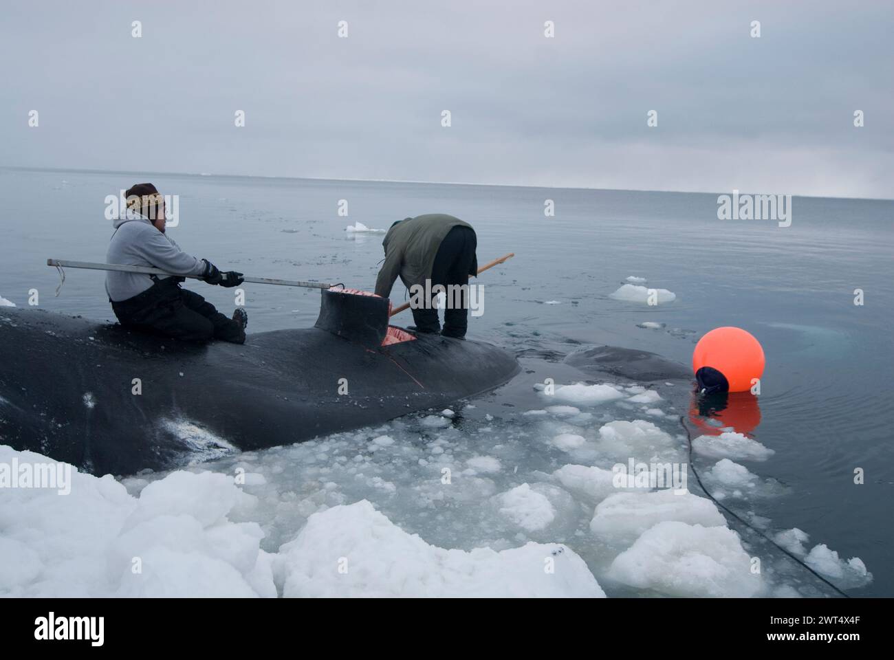 Inupiaq eskimo skin boat hi-res stock photography and images - Alamy