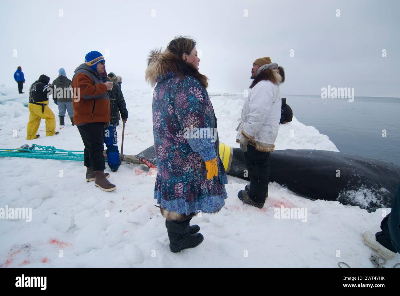Inupiaq eskimo skin boat hi-res stock photography and images - Alamy