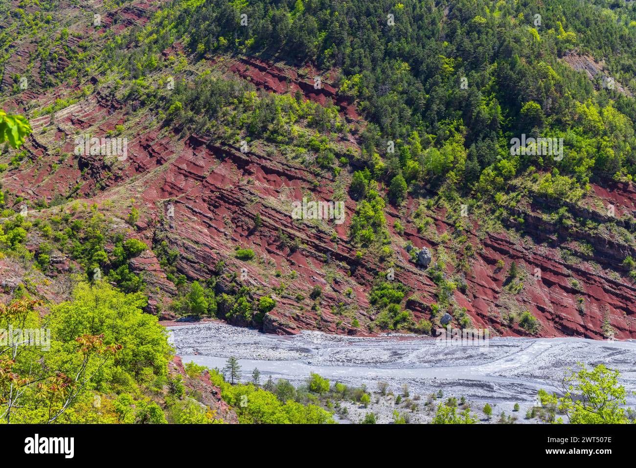 Gorges Du Daluis Regional Nature Reserve, Var river, Alpes-Maritimes ...