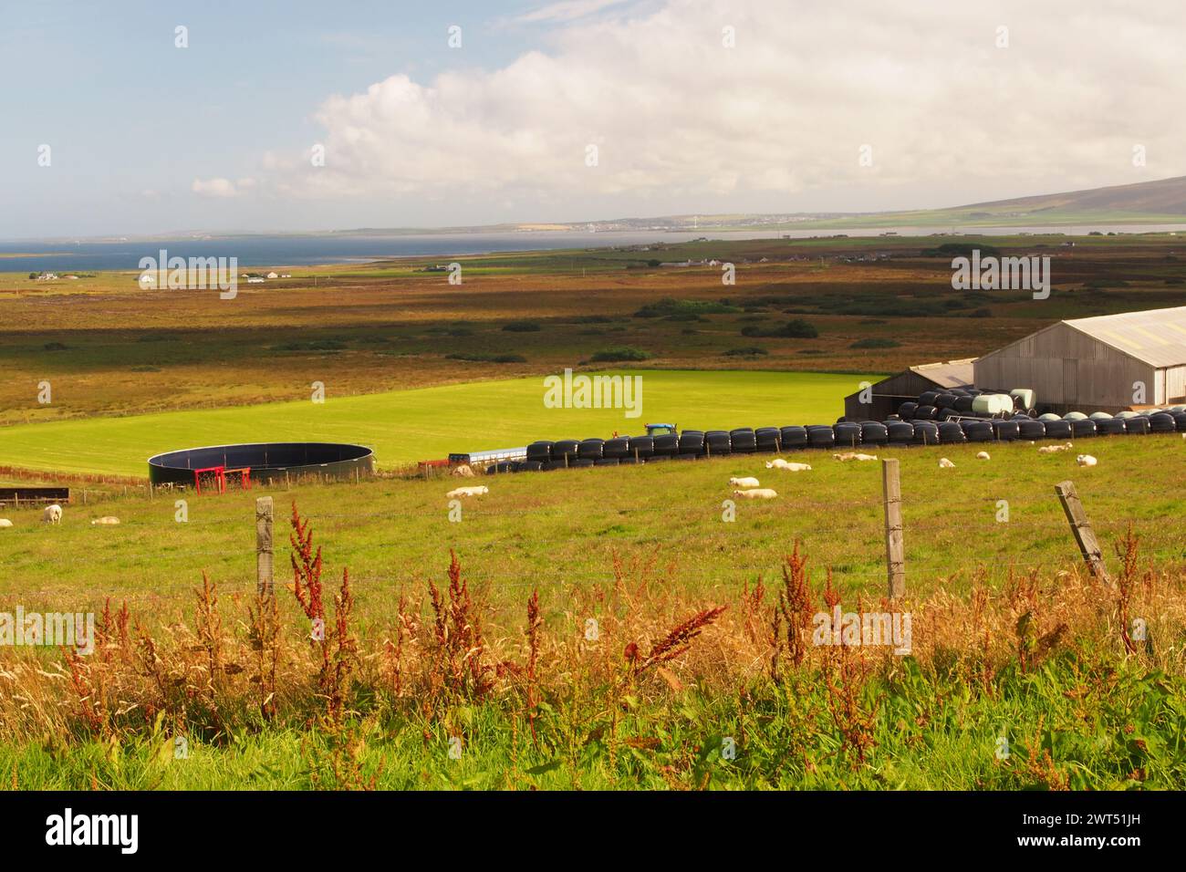 Blubbersdale hi-res stock photography and images - Alamy