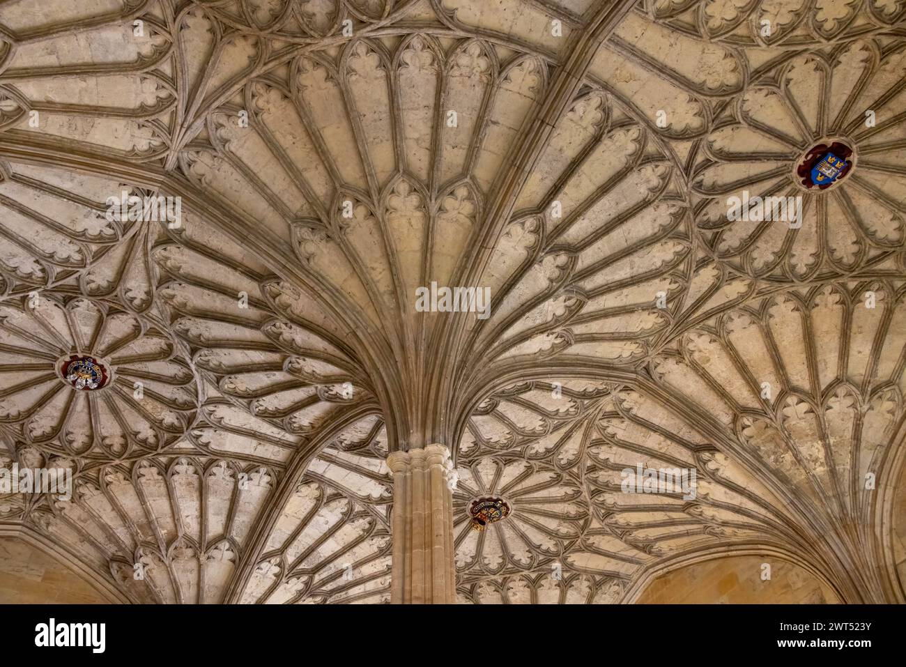 Bodley staircase to the Great Hall, Chest Church College, Oxford ...