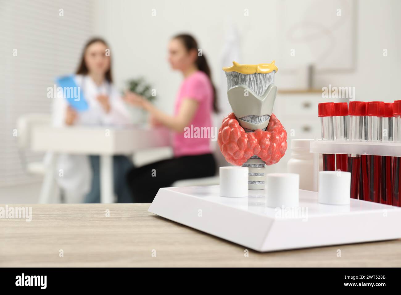 Endocrinologist examining patient at clinic, focus on model of thyroid ...