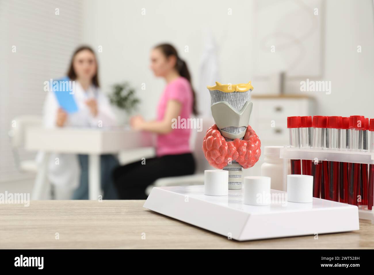 Endocrinologist examining patient at clinic, focus on model of thyroid ...
