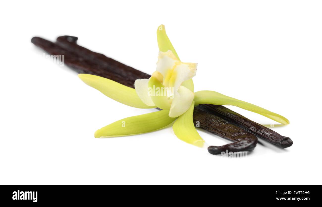 Vanilla pods and beautiful flower isolated on white Stock Photo - Alamy