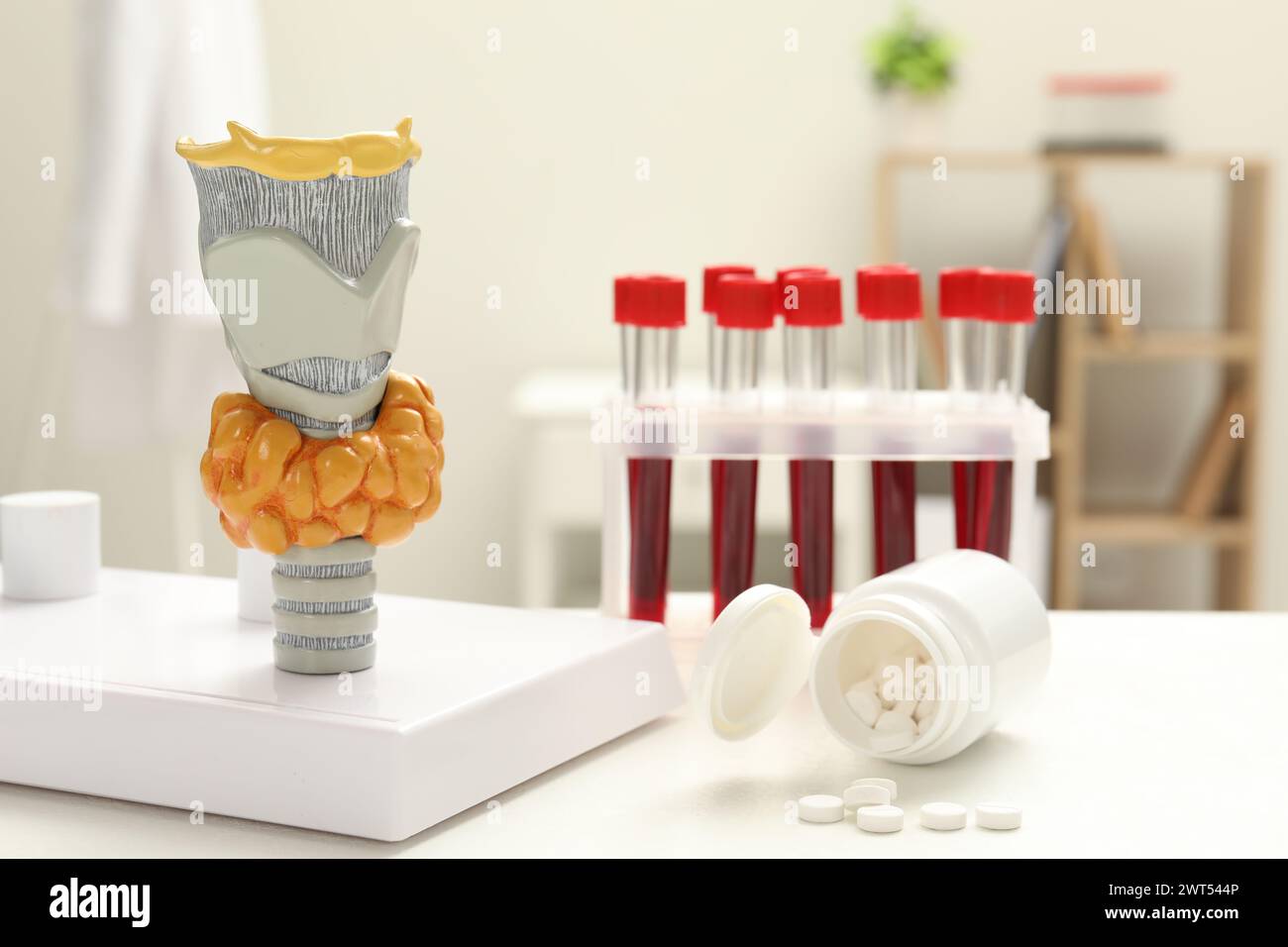 Endocrinology. Model of thyroid gland, bottle with pills and samples of ...