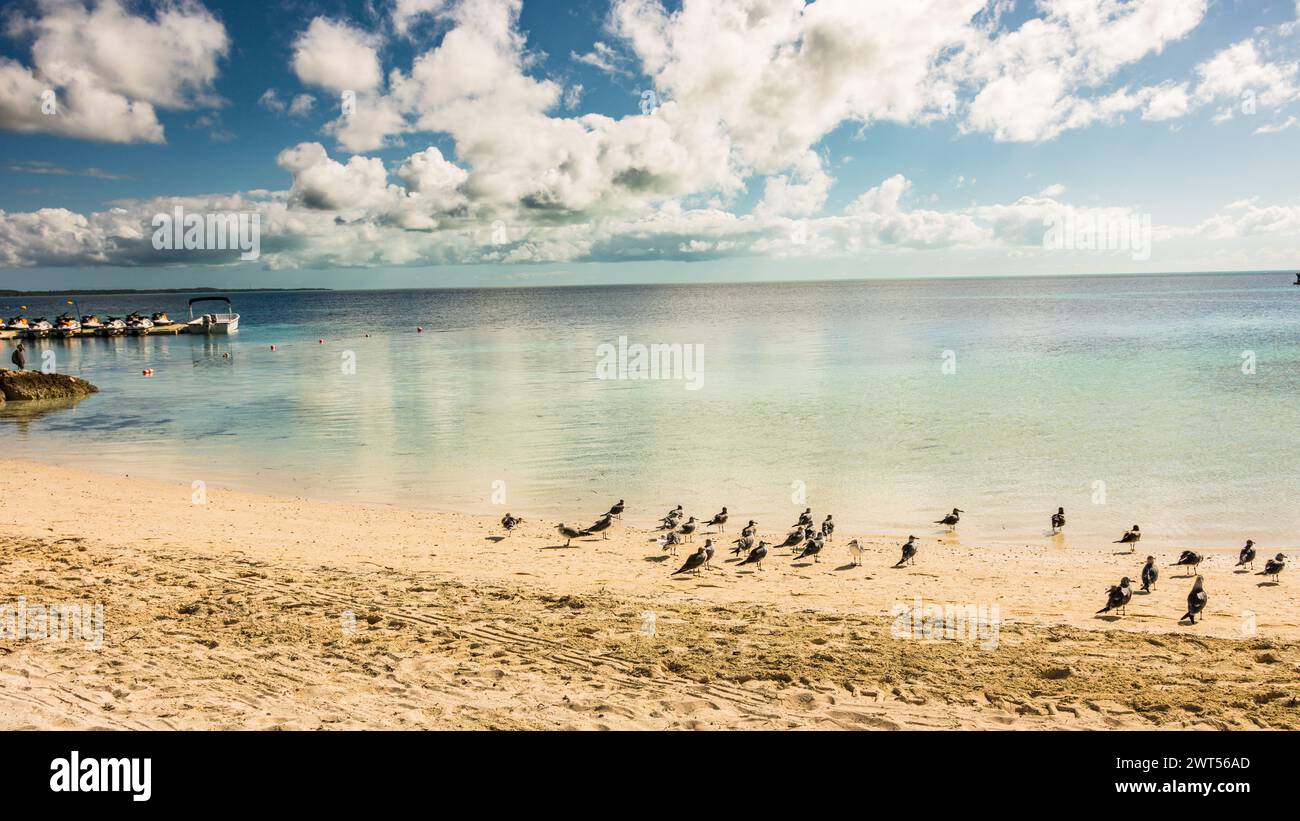 Bahamas Coco Cay Caribbean Island - Luxury beach oasis Stock Photo - Alamy