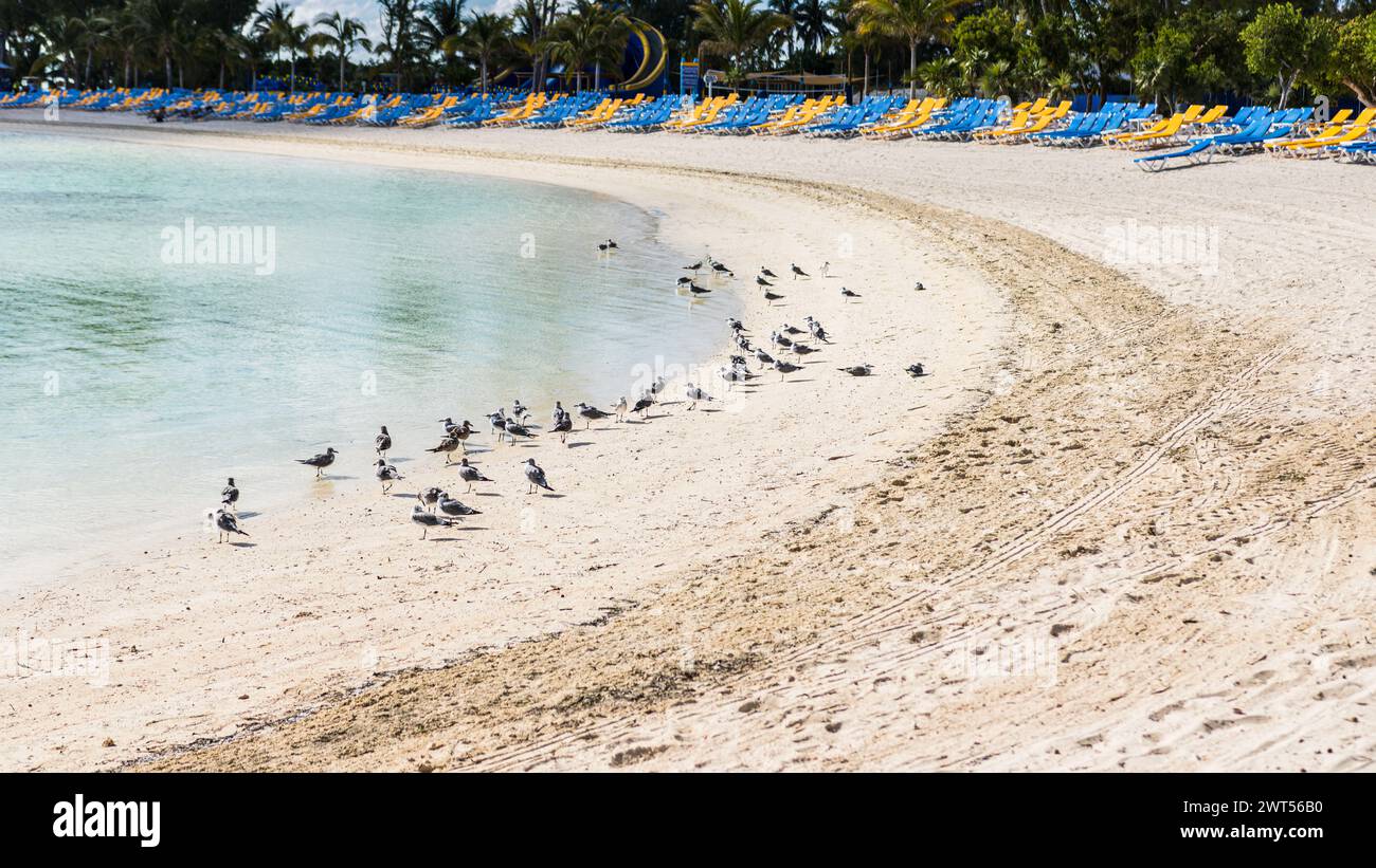 Bahamas Coco Cay Caribbean Island - Luxury beach oasis Stock Photo - Alamy