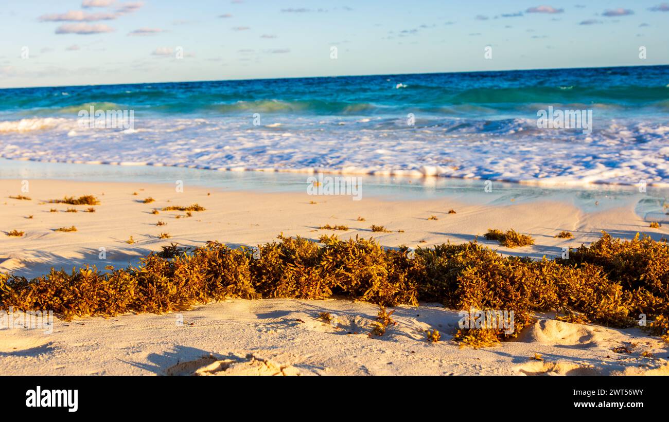 Horseshoe Bay Beach and Deep Bay Beach in Hamilton, Bermuda Stock Photo ...