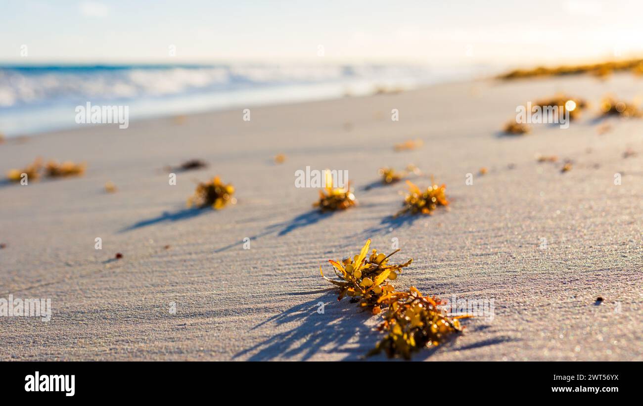 Horseshoe Bay Beach and Deep Bay Beach in Hamilton, Bermuda Stock Photo ...