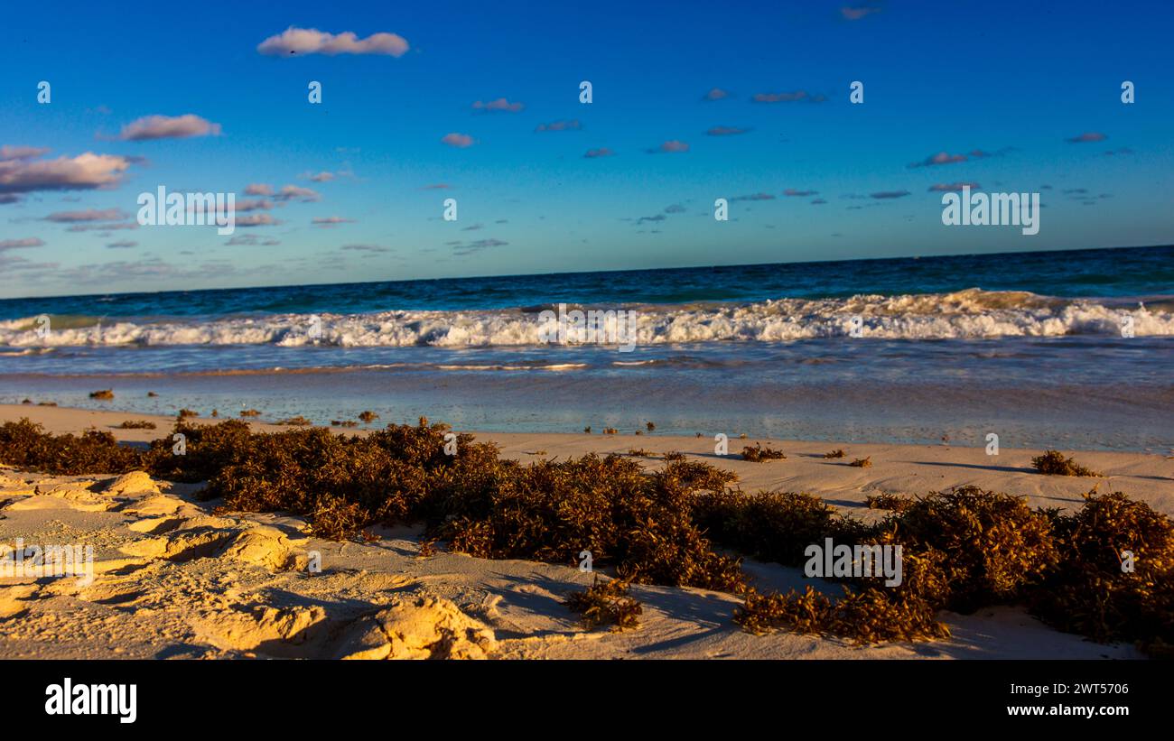 Horseshoe Bay Beach and Deep Bay Beach in Hamilton, Bermuda Stock Photo ...