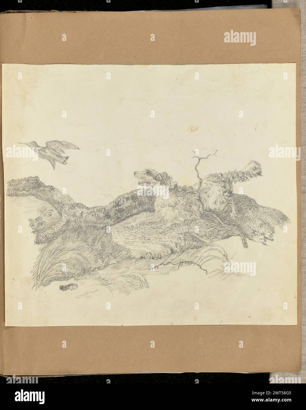 Dog Chasing a Bird. Unknown mid-19th century Detailed pencil sketch of a dog chasing a bird past ...